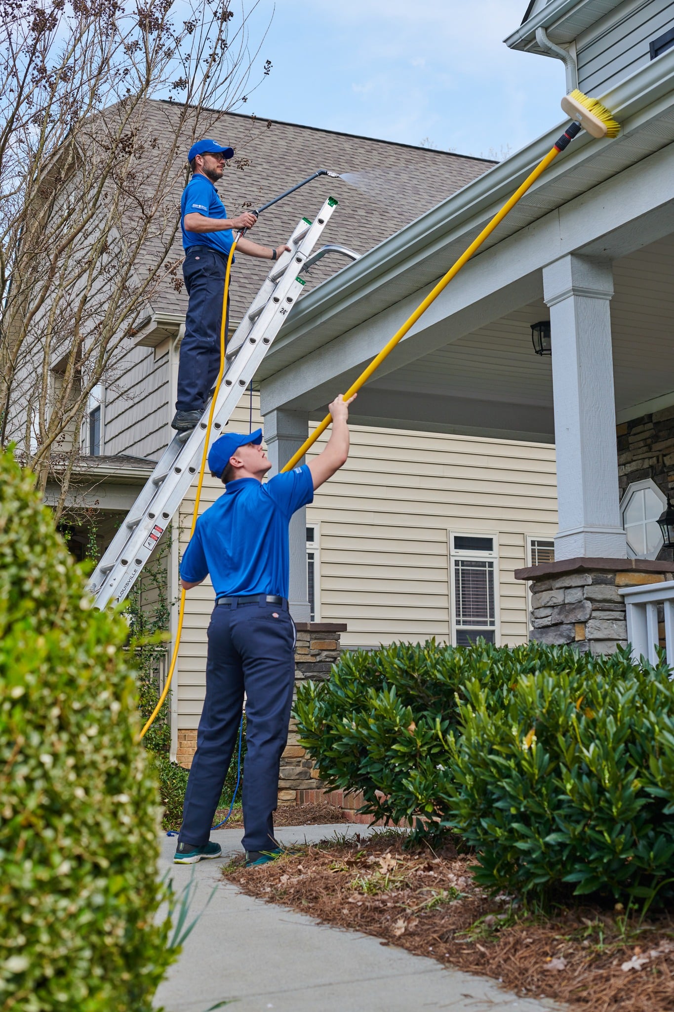 Why Is There Fungus On Your Roof? Everything You Need To Know To Take ...